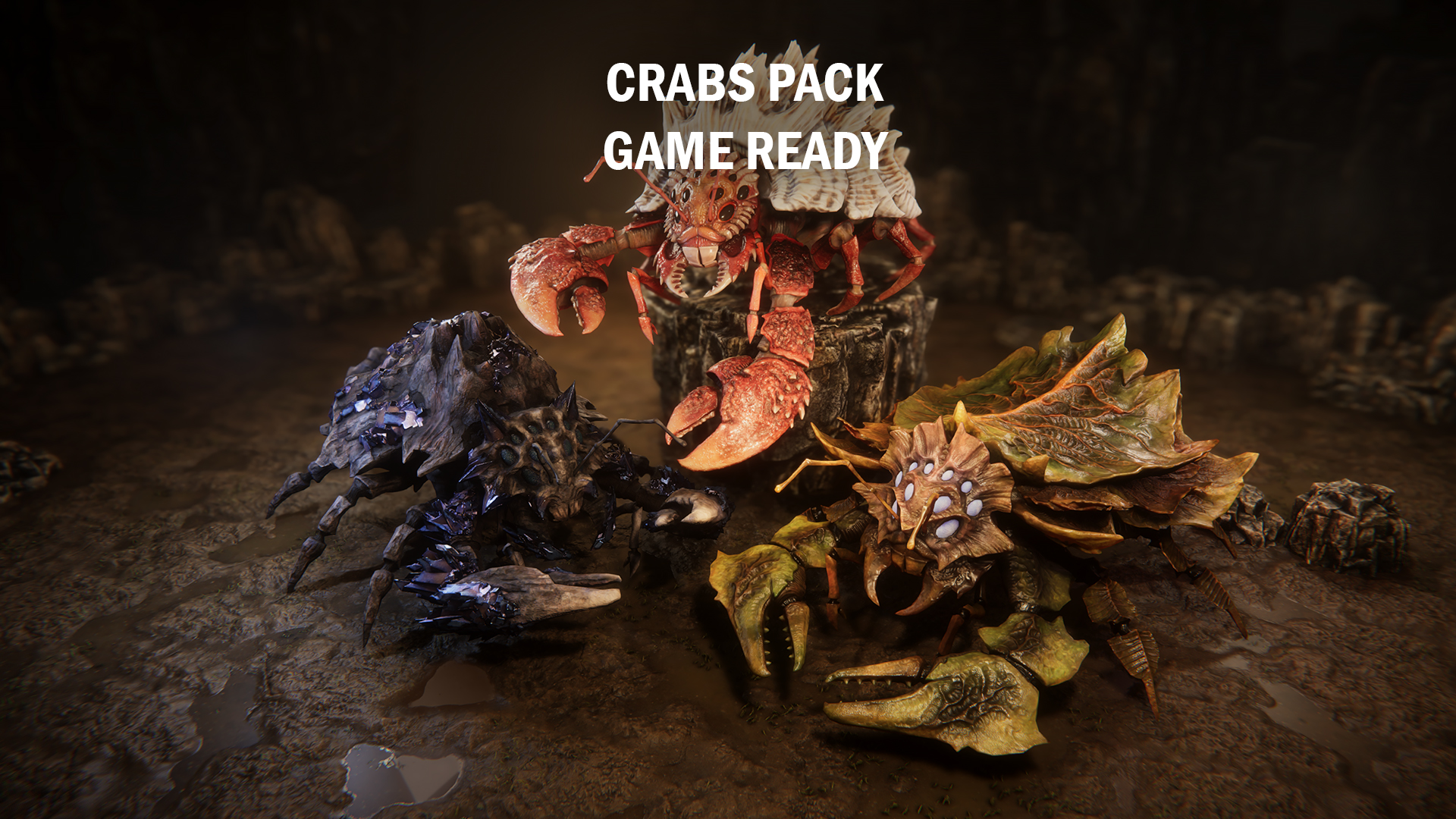 Crabs pack - iClone/Scenes & Props - Reallusion Content Store
