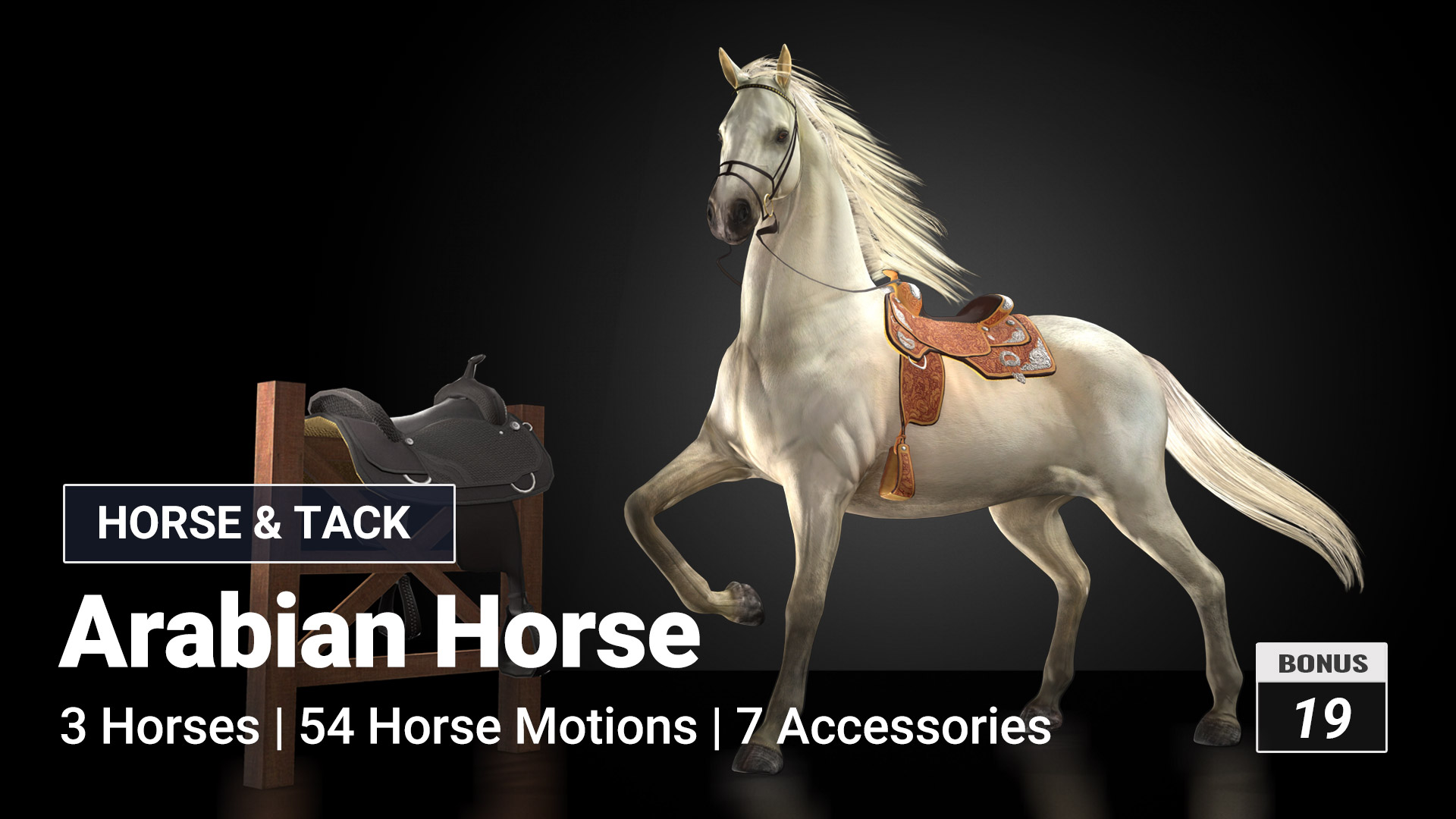 Horse & Tack - Arabian Horse - iClone/Actor - Reallusion Content Store