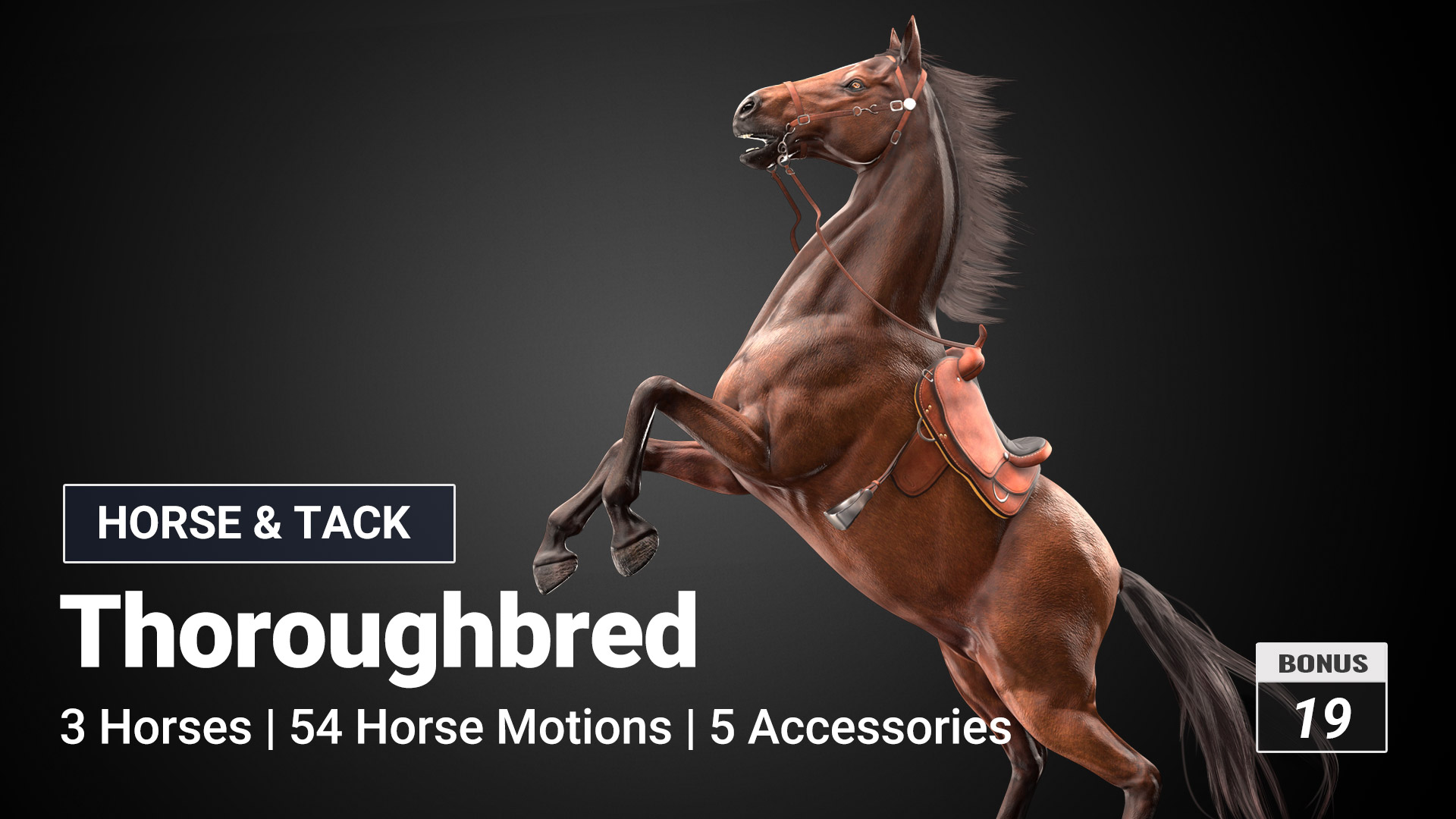 Horse & Tack - Thoroughbred - iClone/Actor - Reallusion Content Store
