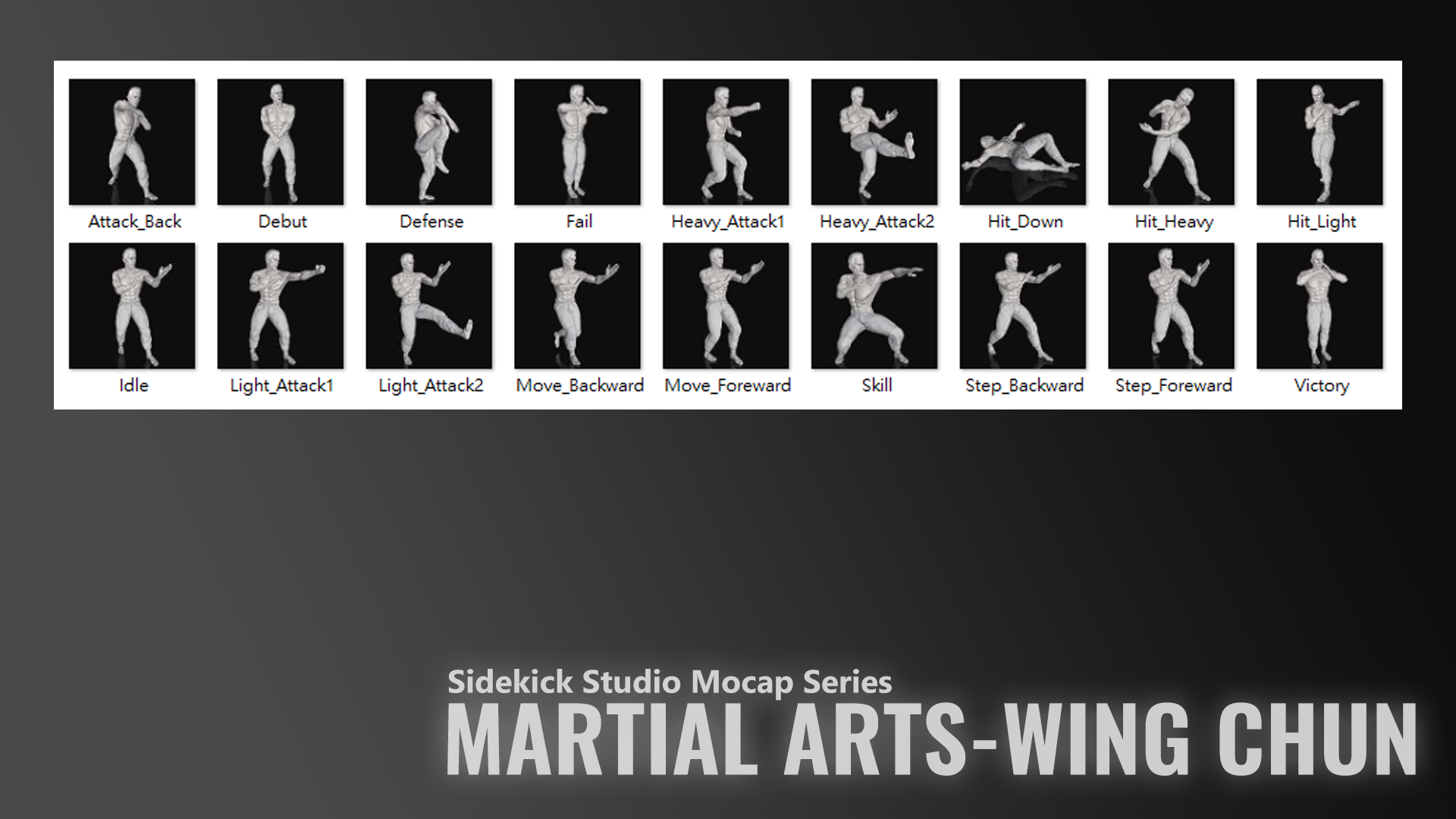 Martial Arts - Wing Chun - iClone/Motion - Reallusion Content Store