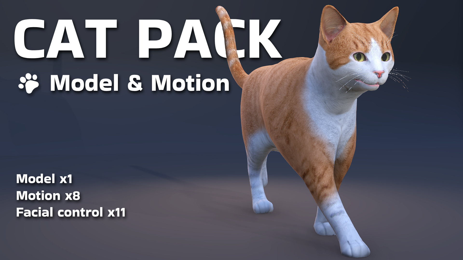 Cat_pack - iClone/Actor - Reallusion Content Store