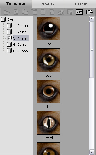 Eye Template Gallery