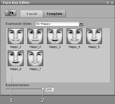 Introducing the Face Key Editor