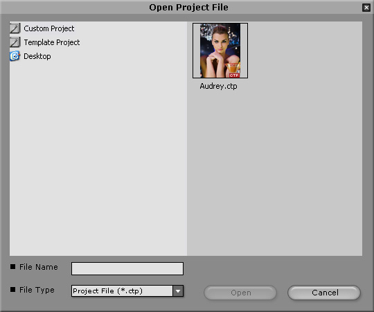 Opening a Project