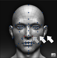 Detailing Overall Facial Features (New)