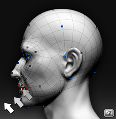 Detailing Overall Facial Features (New)