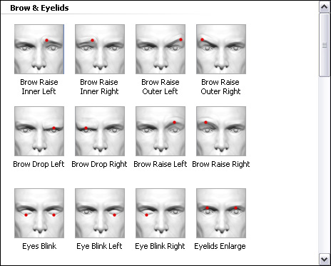 Setting Face Muscles Movement Data
