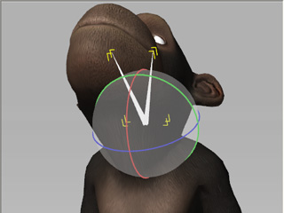 Setting Head Movement Data