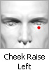 Setting Face Muscles Movement Data
