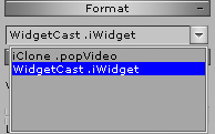 Exporting an iWidget