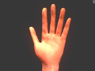 Animating Hand Gestures