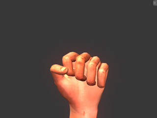 Animating Hand Gestures